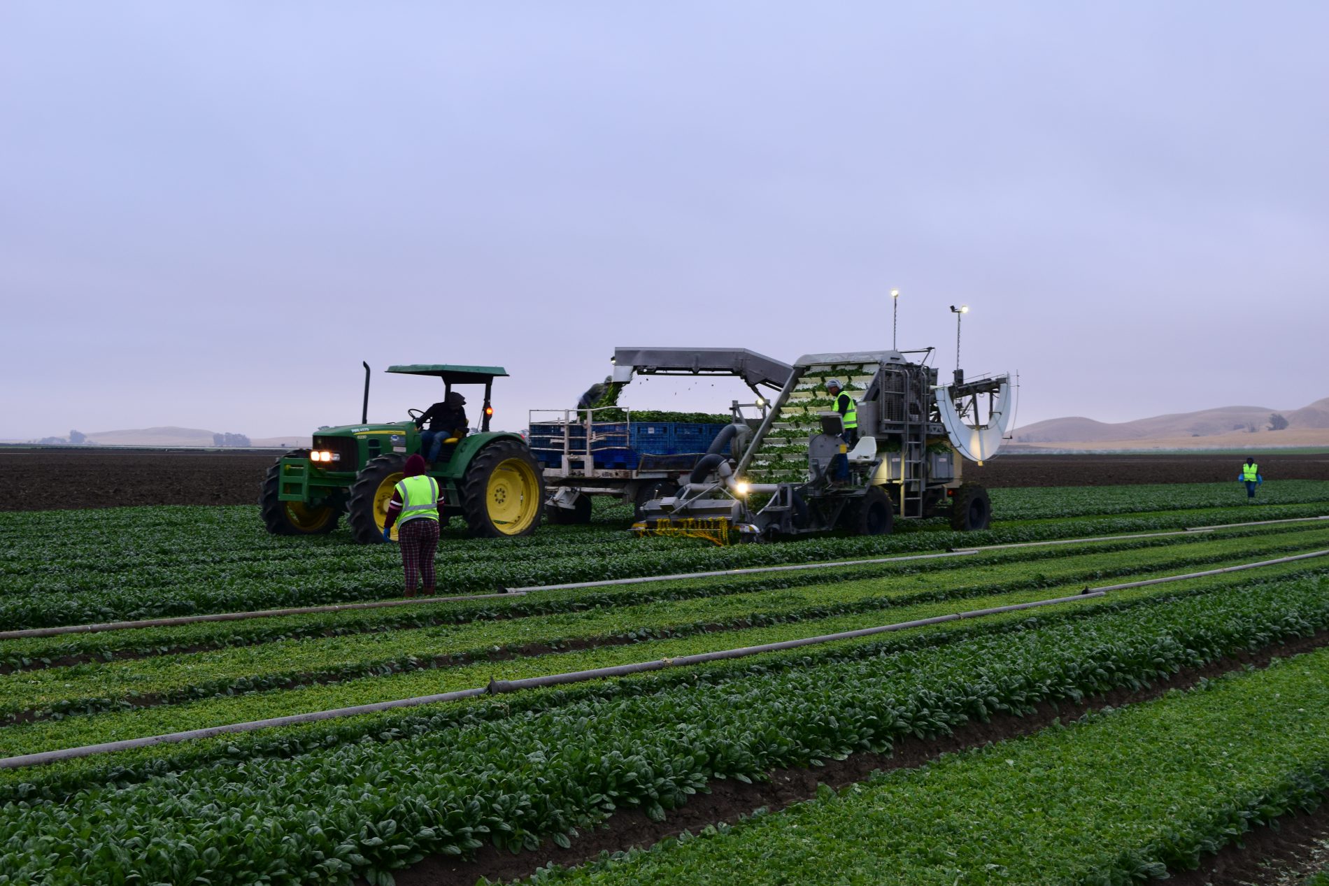 Leaf cutter SLS3000 – Valley Fabrication